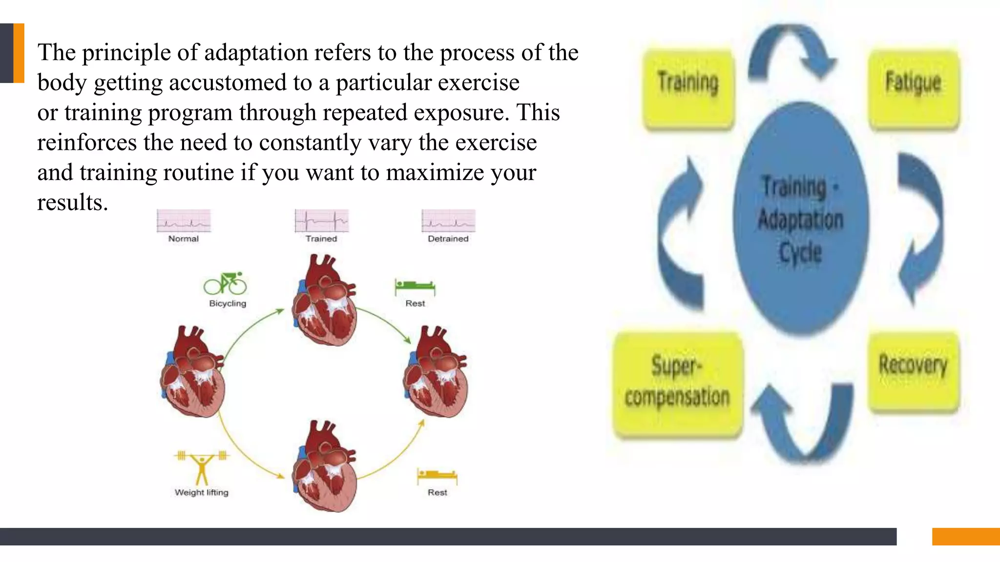 Principles of Sports Training | PPTX