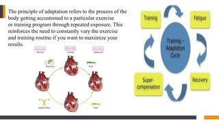 Principles of Sports Training | PPTX