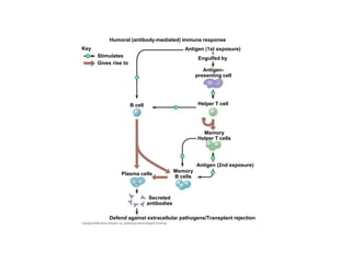 Principles of transplantation by DJ | PPTX