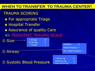 Principles Of Trauma Care (2) | PPT