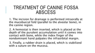 Principles of treatment of abscess.pptx