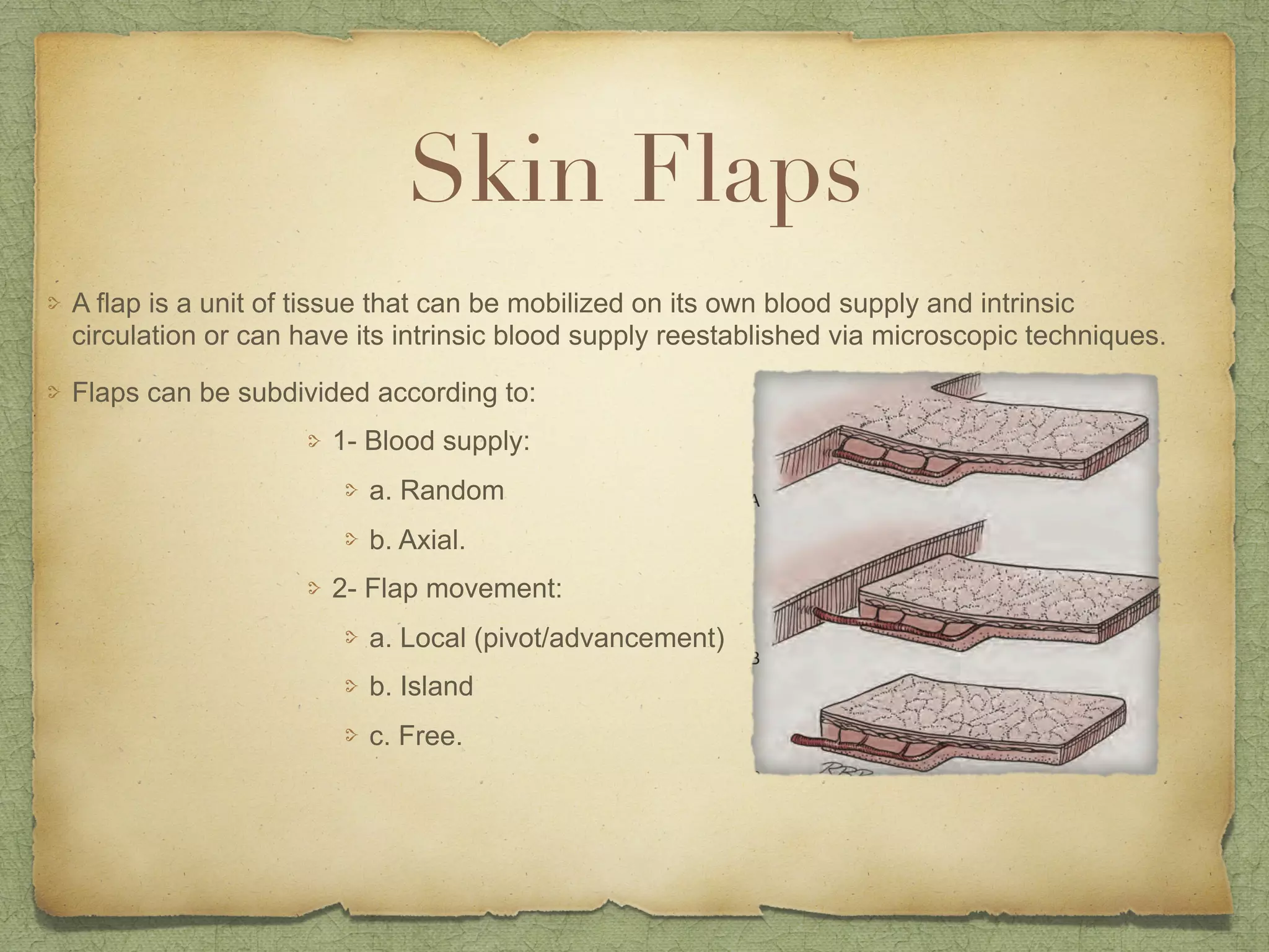 Principles of urethral reconstructive surgery | PDF