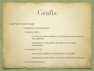 Principles of urethral reconstructive surgery | PDF | Skin and ...