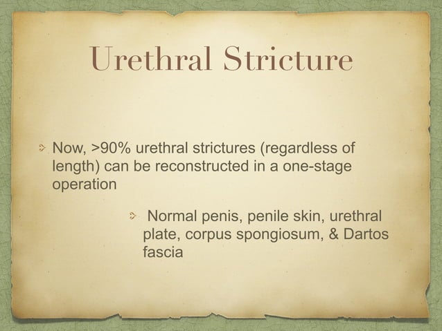 Urethral Reroute Surgery Why – Perineal Urethrostomy Surgery – FPYK