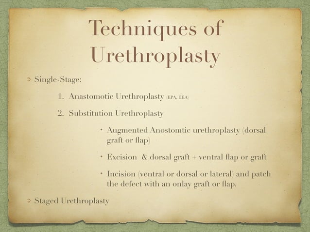 Principles of urethral reconstructive surgery | PDF | Skin and ...