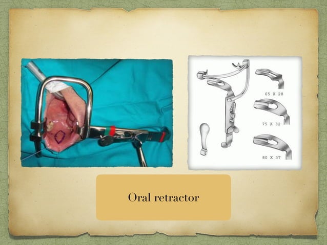 Principles of urethral reconstructive surgery | PDF | Skin and ...