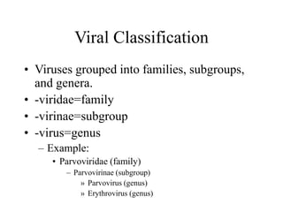 Principles of Virology.ppt microbiology | PPT