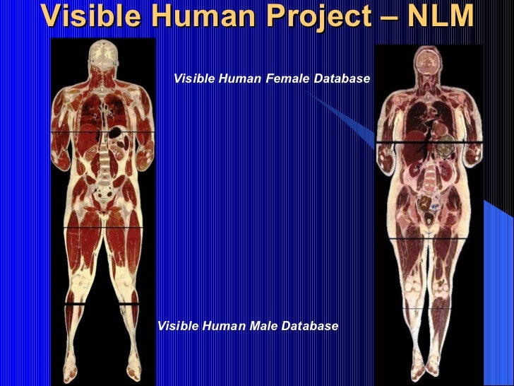 Principles of Virtual Reality In Surgical Training - Review by Sanjoy…