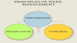 Principles of weed management.pptx