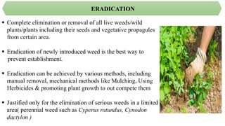 Principles of weed management.pptx