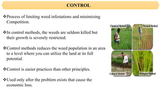 Principles of weed management.pptx
