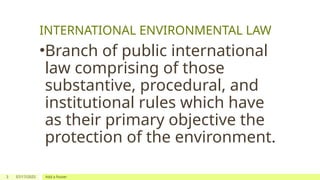 Principles on International Environmental Law.pptx