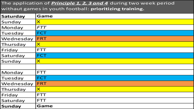 Principles Periodization | PDF