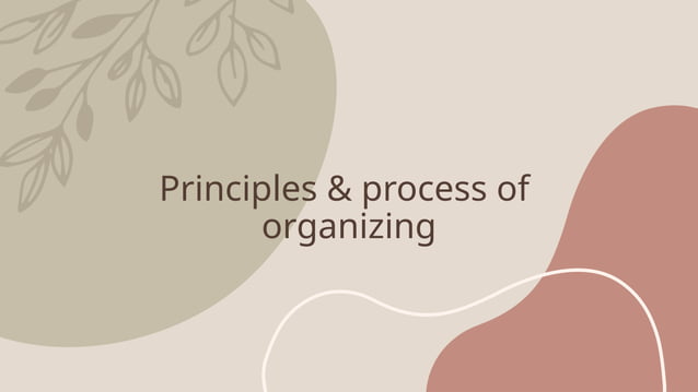 Principles & process of ORGANIZATION.pptx