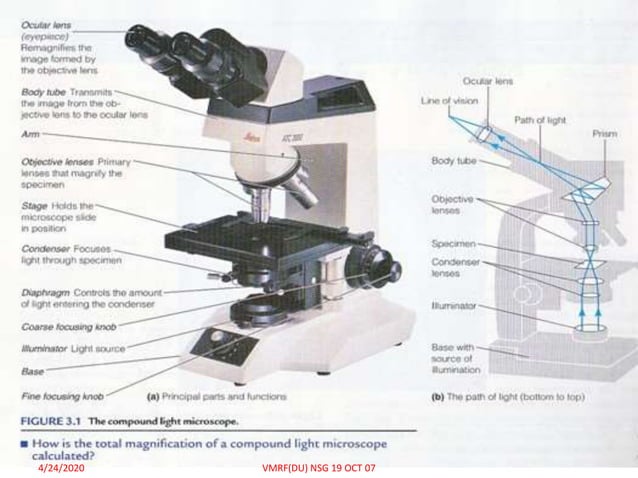 Principles, structure and apllications of bright field and dark field ...
