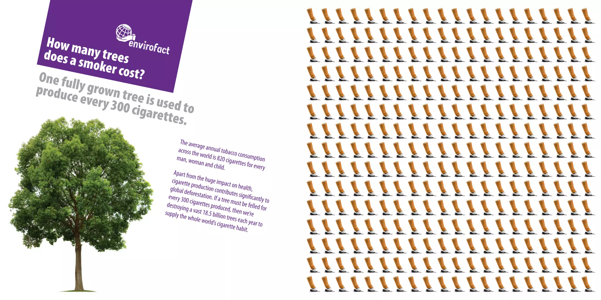 Principle Group: Sustainability - protecting the future | PDF