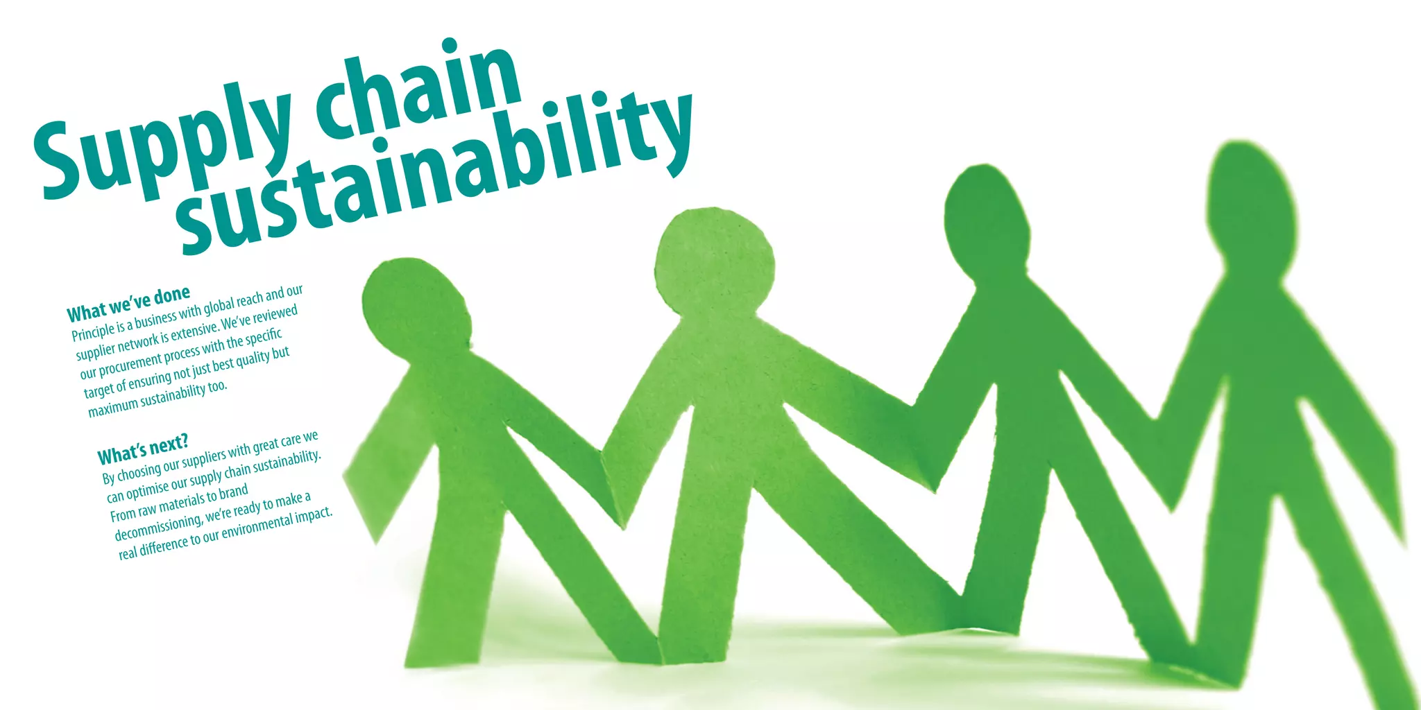 Principle Group: Sustainability - protecting the future | PDF