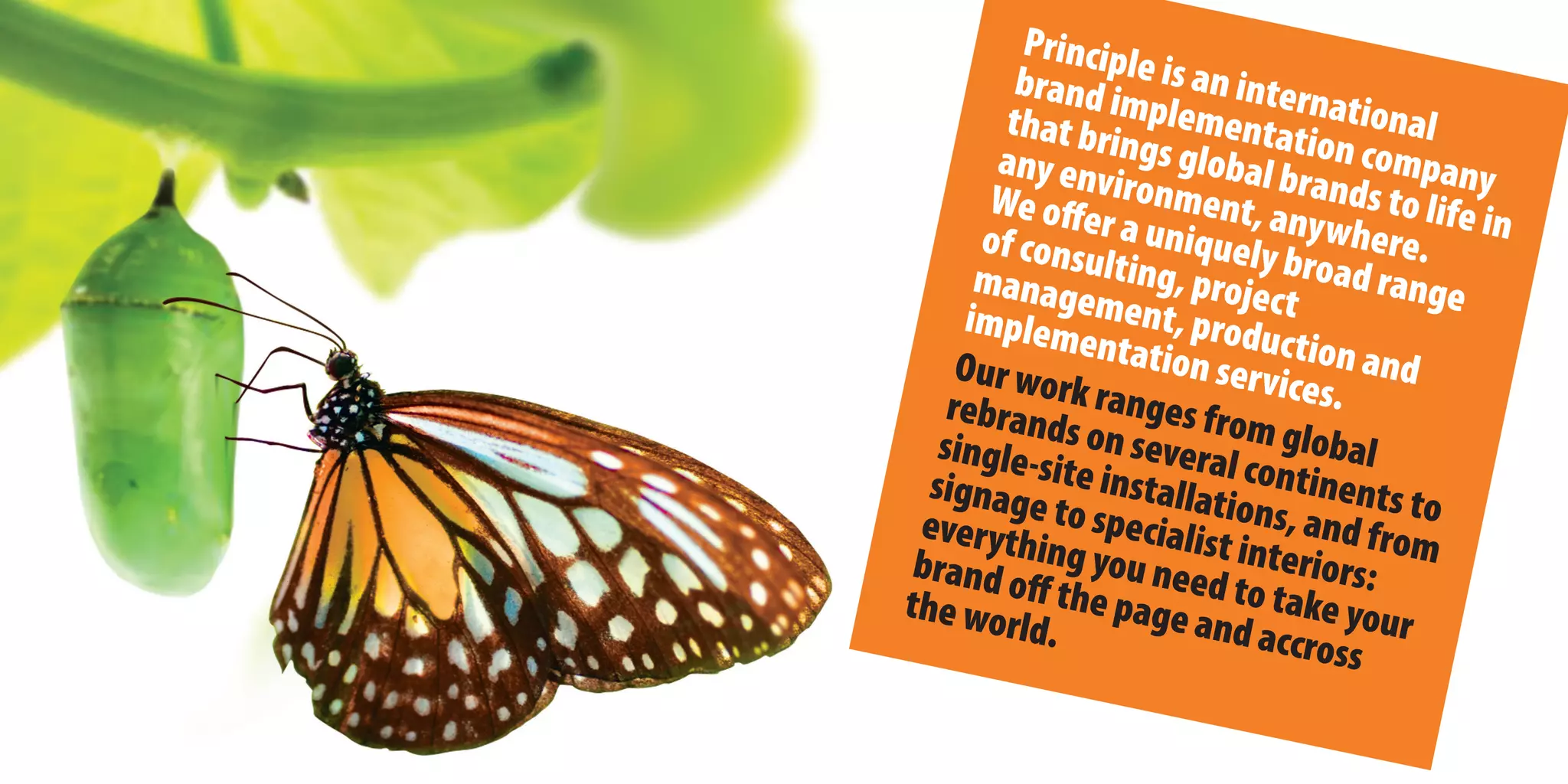 Principle Group: Sustainability - protecting the future | PDF