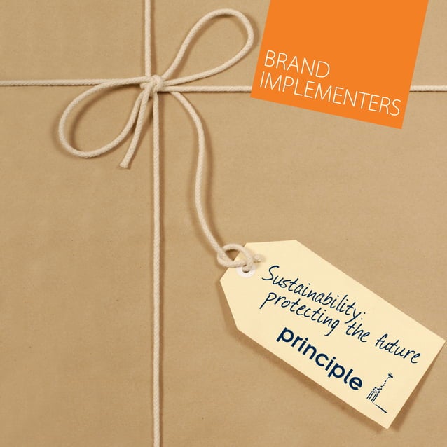 Principle Group: Sustainability - protecting the future | PDF