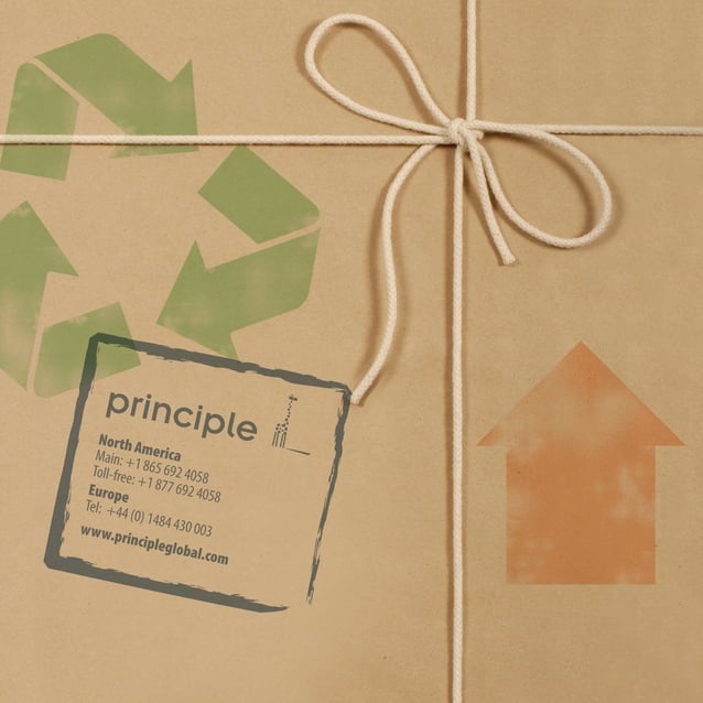 Principle Group: Sustainability - protecting the future | PDF