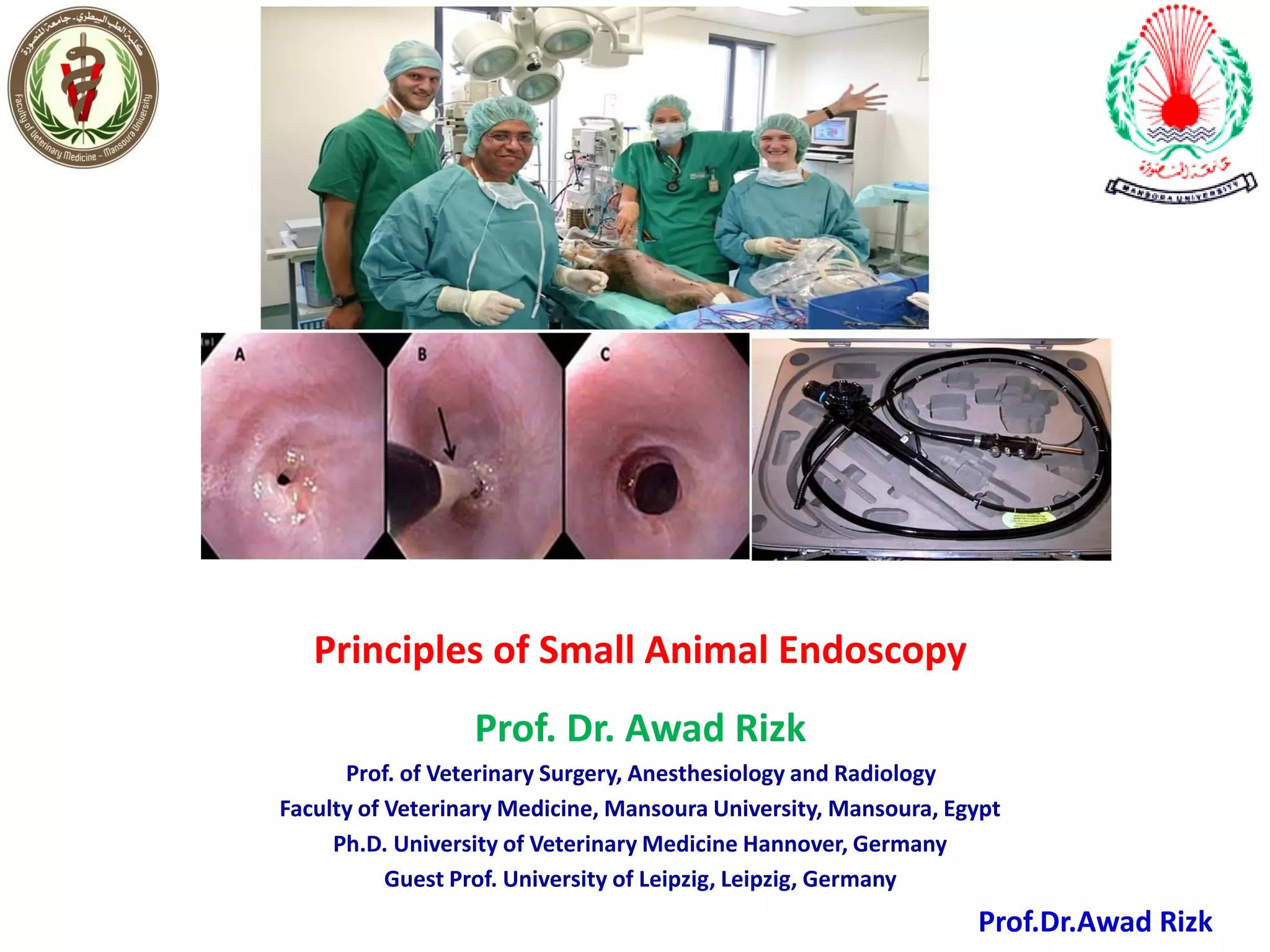 Priniciples of Canine Endoscopic Surgery Prof.Dr. Awad Rizk.pdf