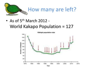 The NZ Kakapo researched by Prinisha Naidu | PPT