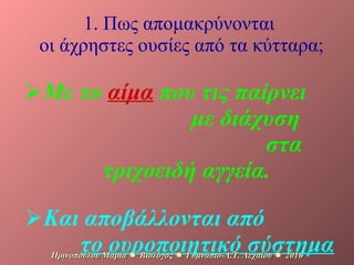 Prinopoulou ouropiitiko sistima | PPT