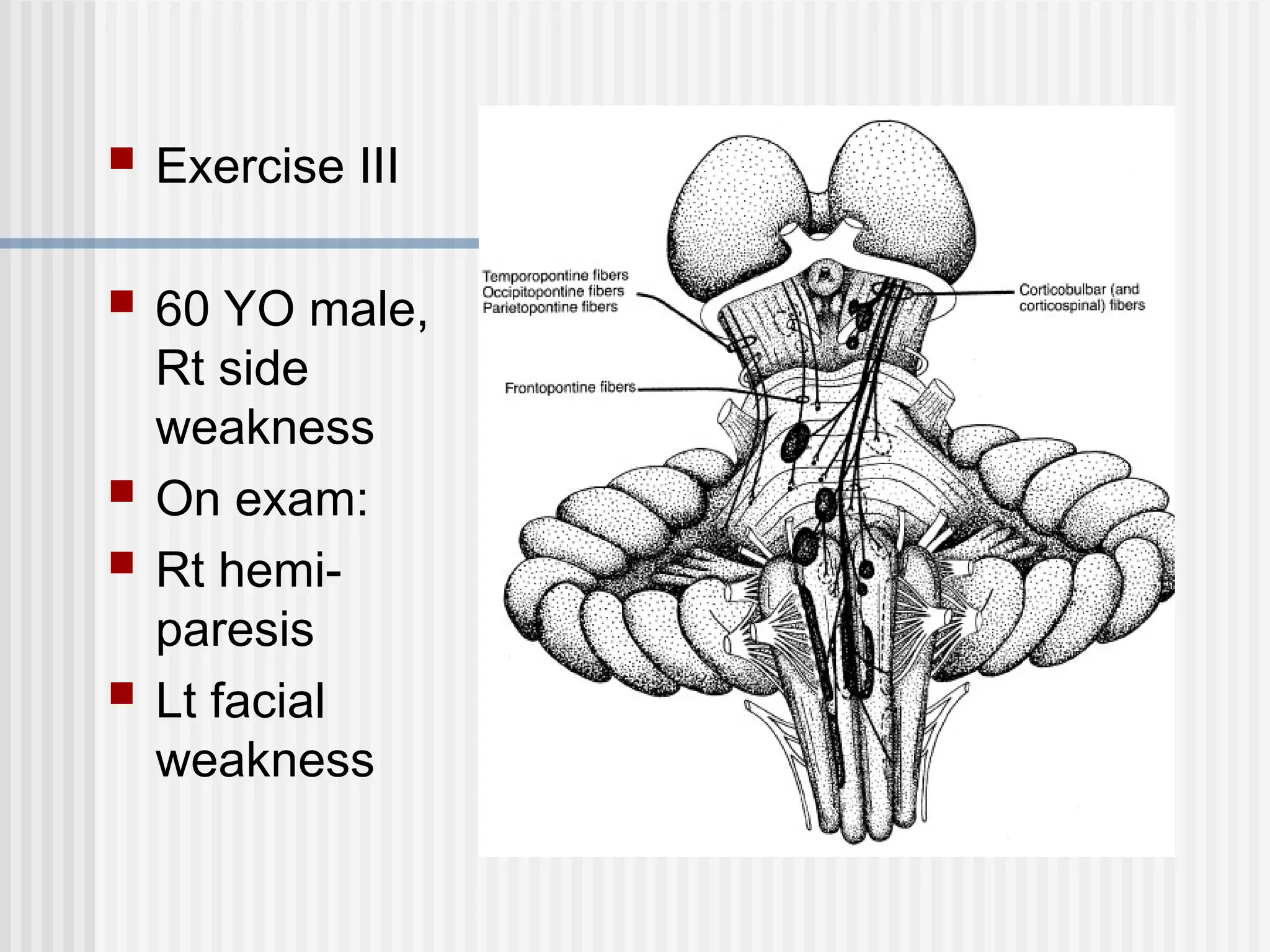 prinples of neurologic diagnosis ,4330755.ppt