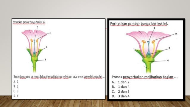 Prinsip ABCD dan Contoh Level 1,2,3.pptx