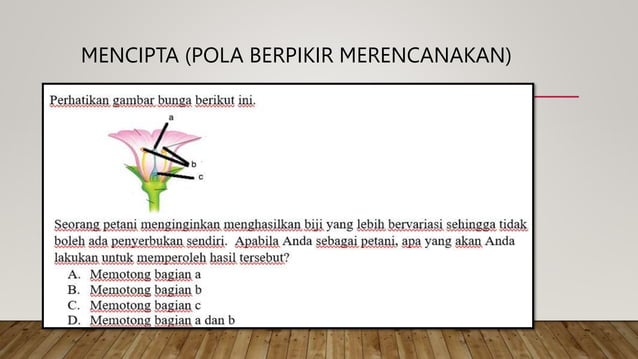 Prinsip ABCD dan Contoh Level 1,2,3.pptx