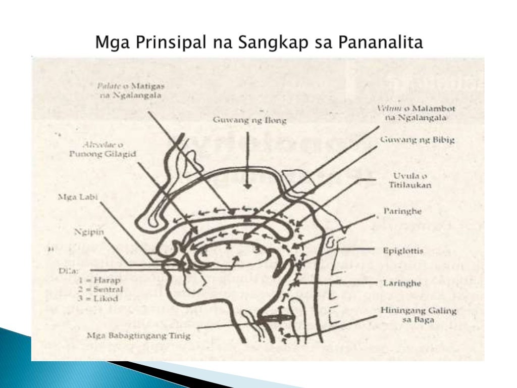 Mga Prinsipal na Sangkap sa Pananalita
