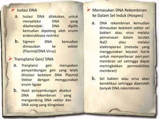 Prinsip dasar dan jenis jenis bioteknologi | PPTX