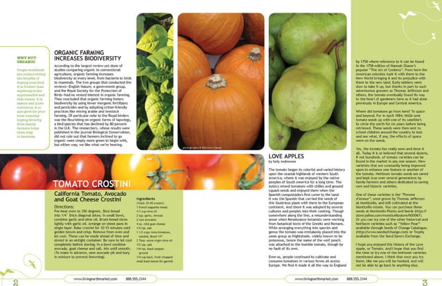 PRINSIP DASAR LAYOUT | PDF