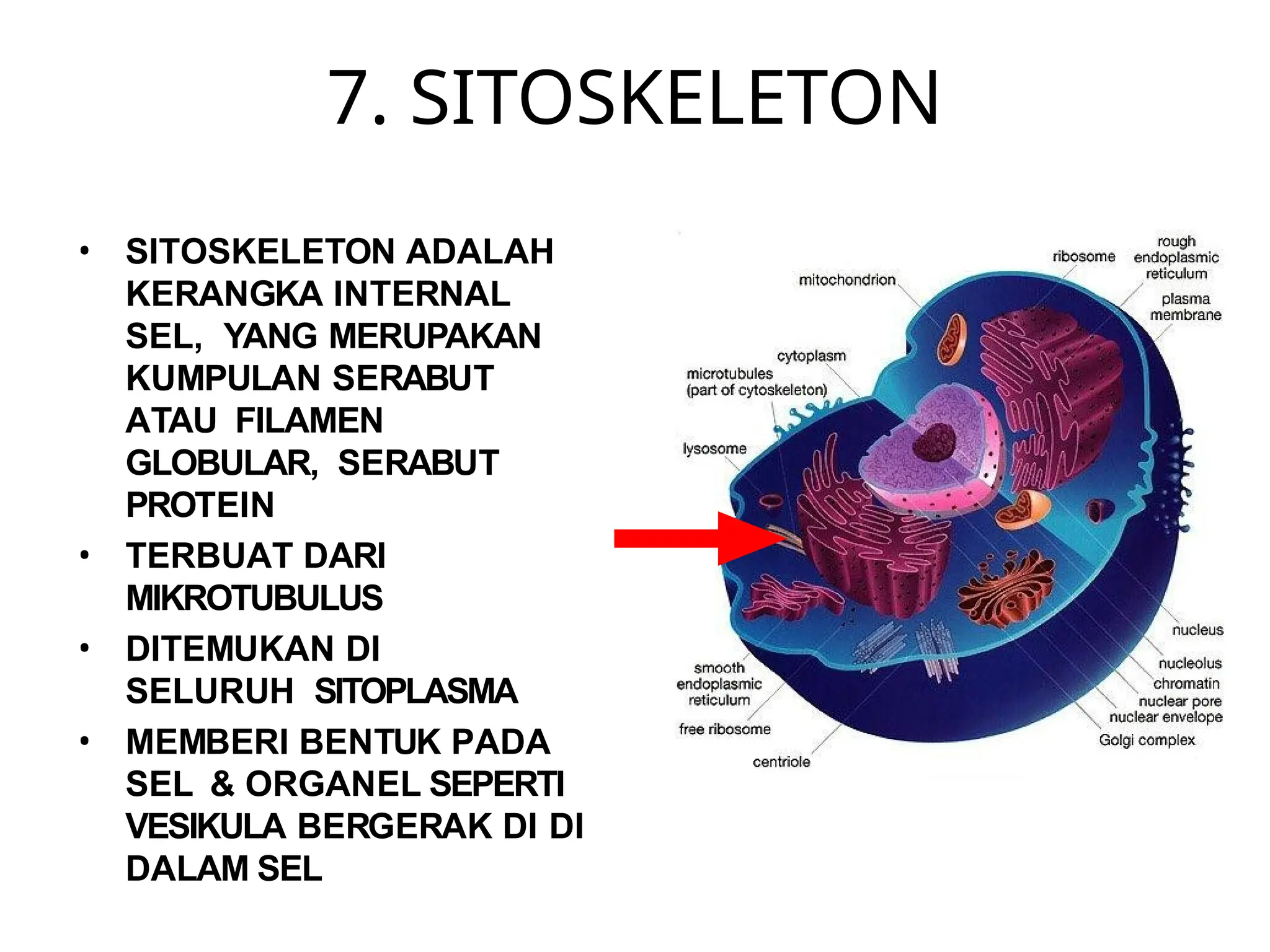 Prinsip Dasar Struktur dan Fungsi Sel.pptx
