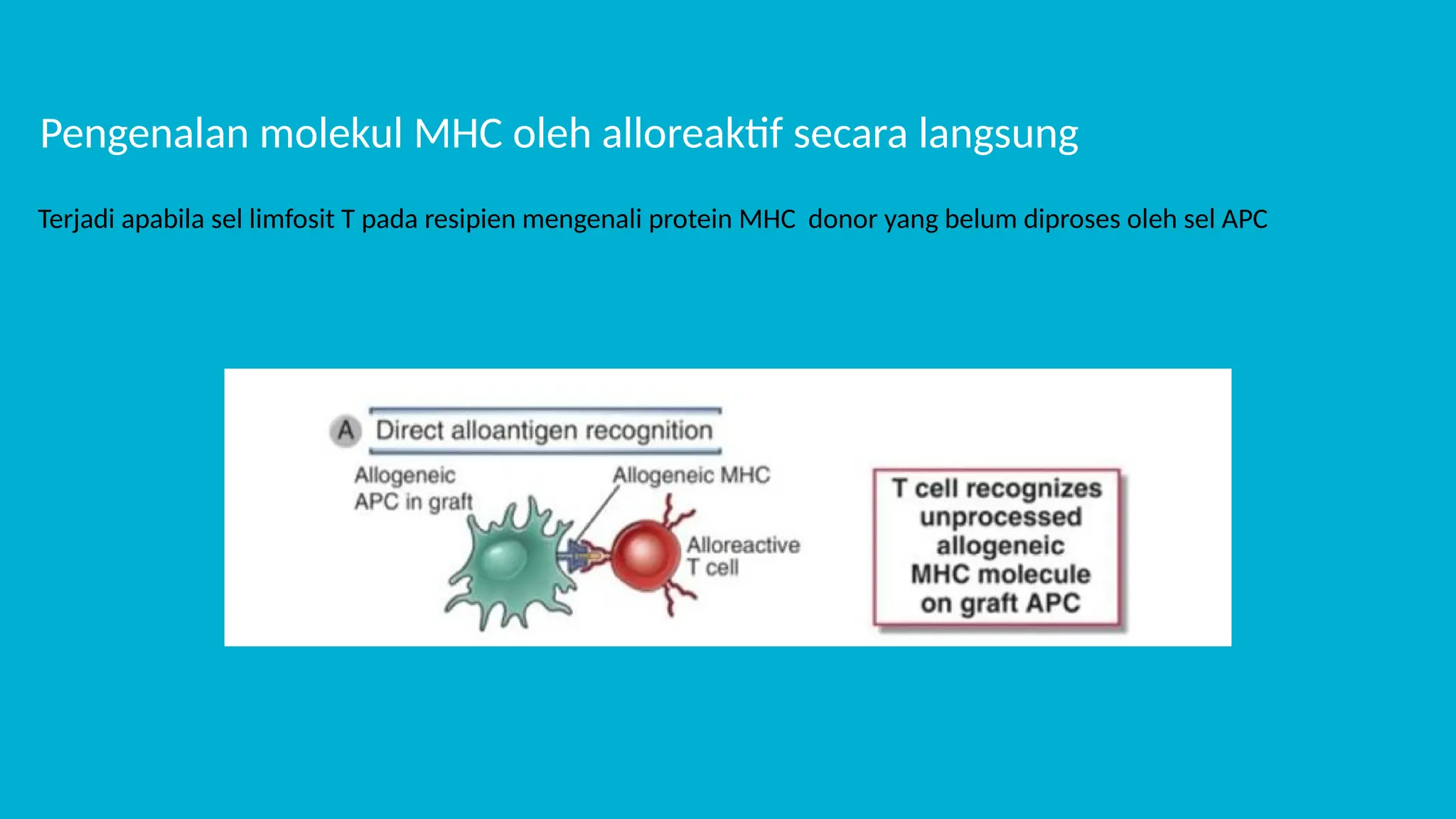 Prinsip Imunologi Transplantasi (Respon Imun terhadap Allograft, Mekanisme dan Pola Penolakan ...