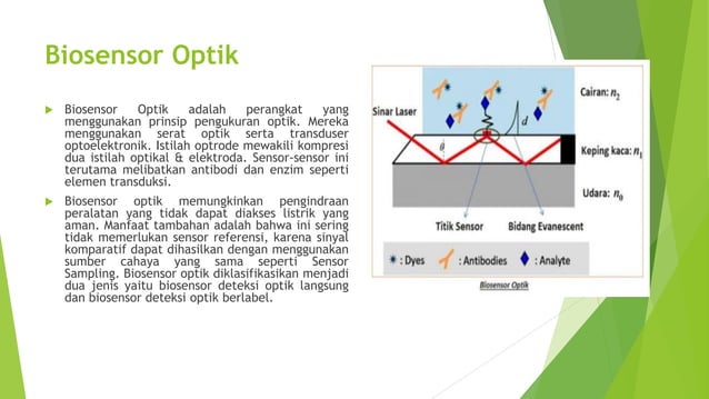 Prinsip_kerja_dan_Aplikasi_Biosensor.pptx