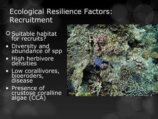 Prinsip & Komponen Kelentingan (Resilience) | PPT