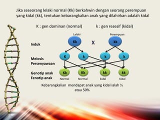 Prinsip & Mekanisma Pewarisan | PPTX