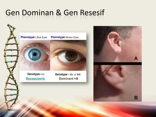 Prinsip & Mekanisma Pewarisan | PPTX