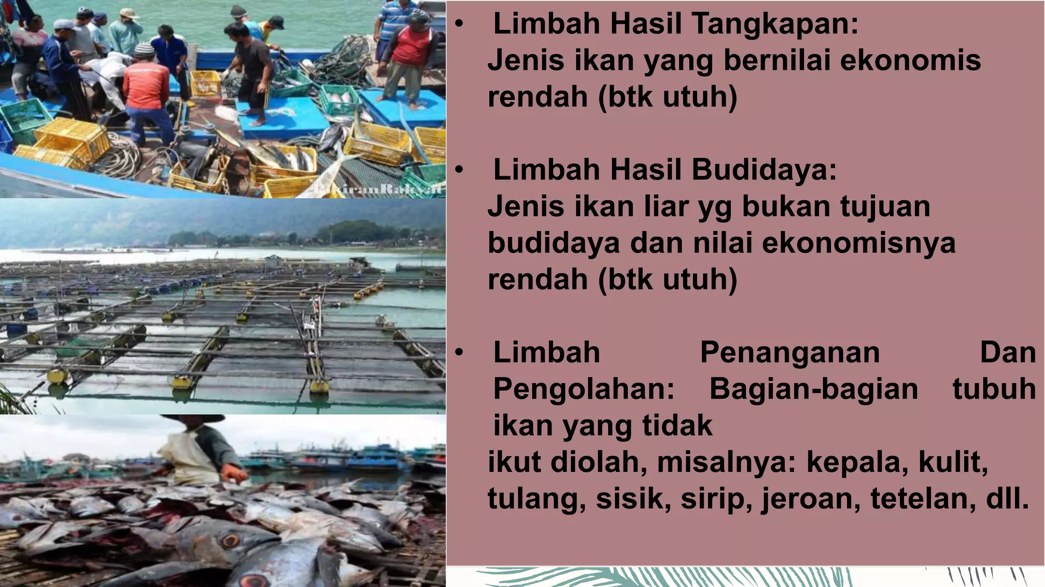 Prinsip Penanganan Limbah Pengolahan Hasil Perikanan | PPTX