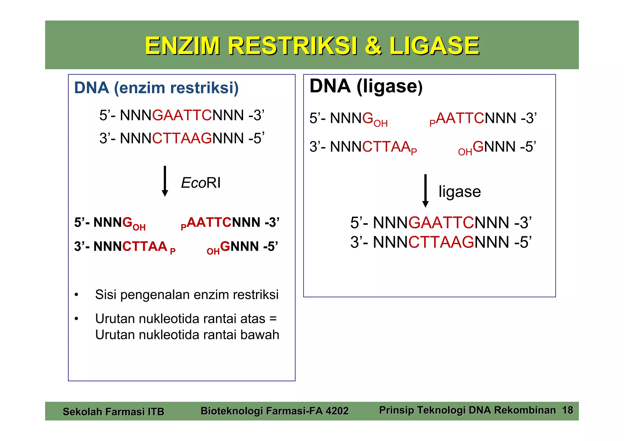 teknologi dna rekombinan | PDF