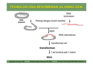 teknologi dna rekombinan | PDF