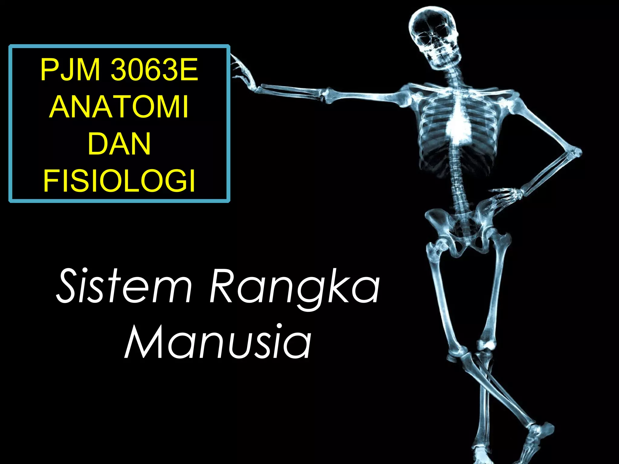 Sistem Rangka Manusia | PPT