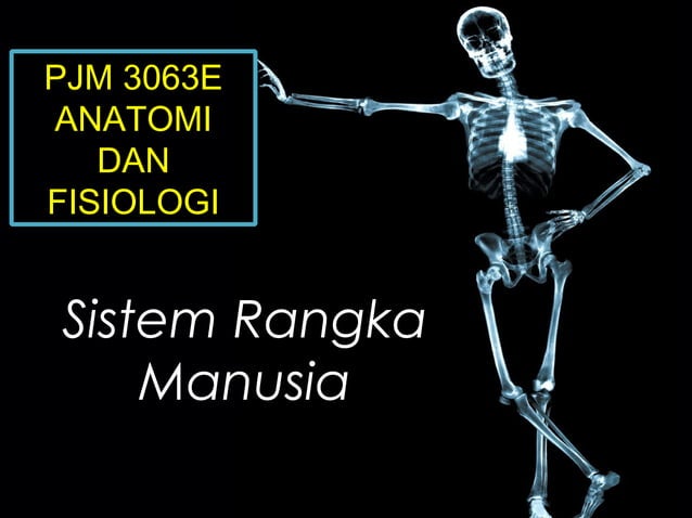 Sistem Rangka Manusia | PPT