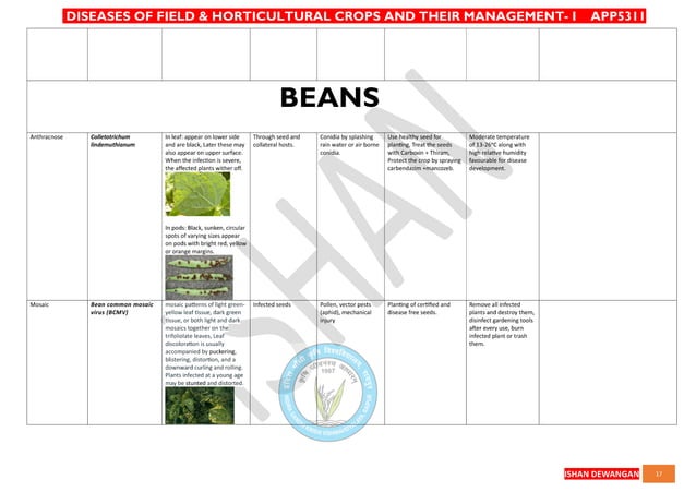 QUICK BOOK ON DISEASES OF FIELD AND HORTICULTURAL CROPS AND THEIR ...