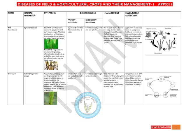 QUICK BOOK ON DISEASES OF FIELD AND HORTICULTURAL CROPS AND THEIR ...