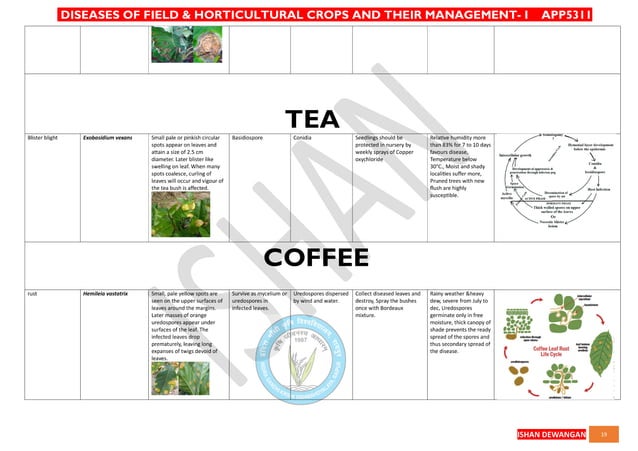 QUICK BOOK ON DISEASES OF FIELD AND HORTICULTURAL CROPS AND THEIR ...