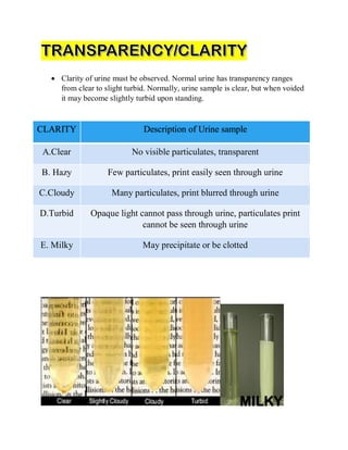 Print and-laminate | PDF
