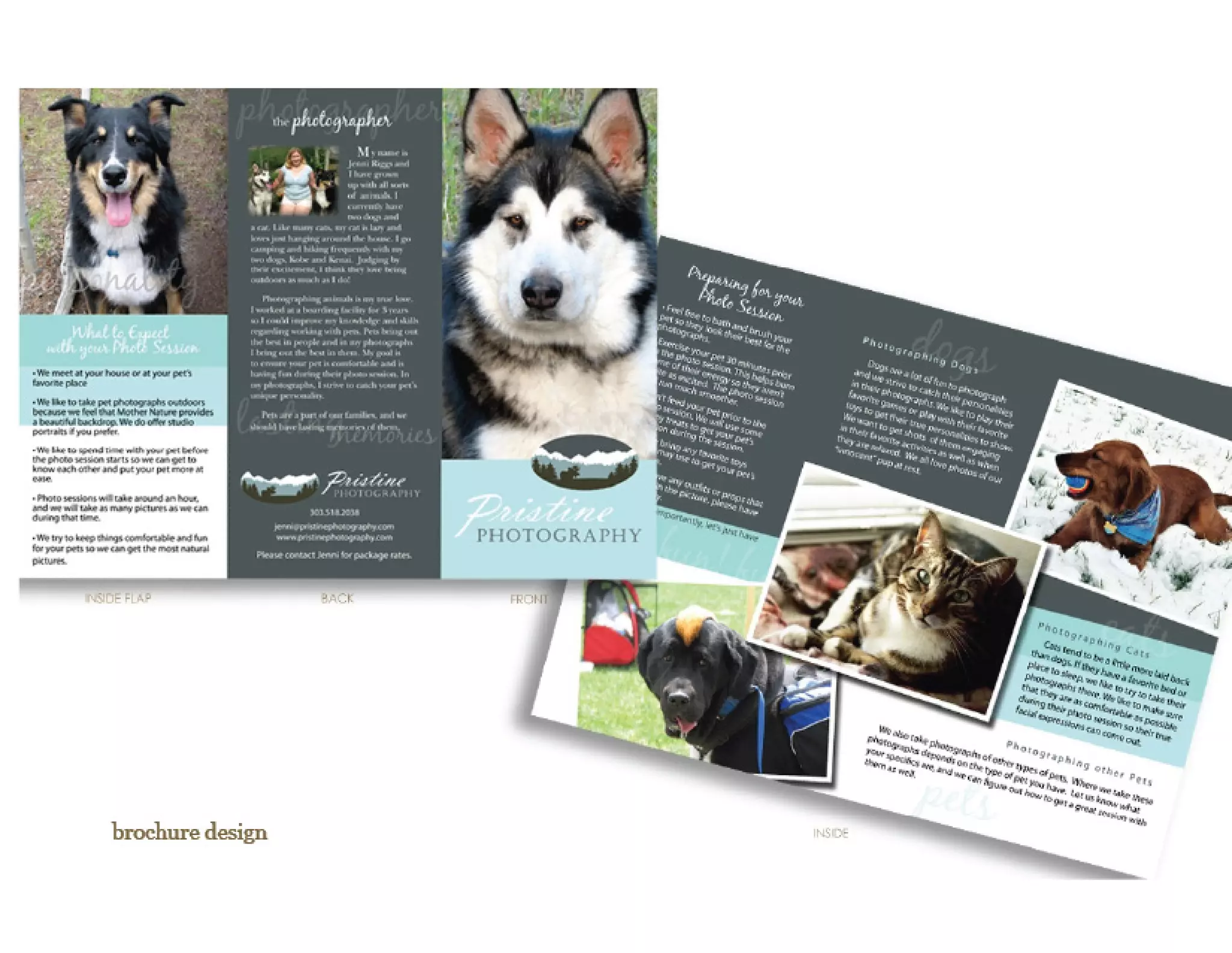 Graphic Design Portfolio-Print Work- Julie Flook/Design Moose Graphics ...