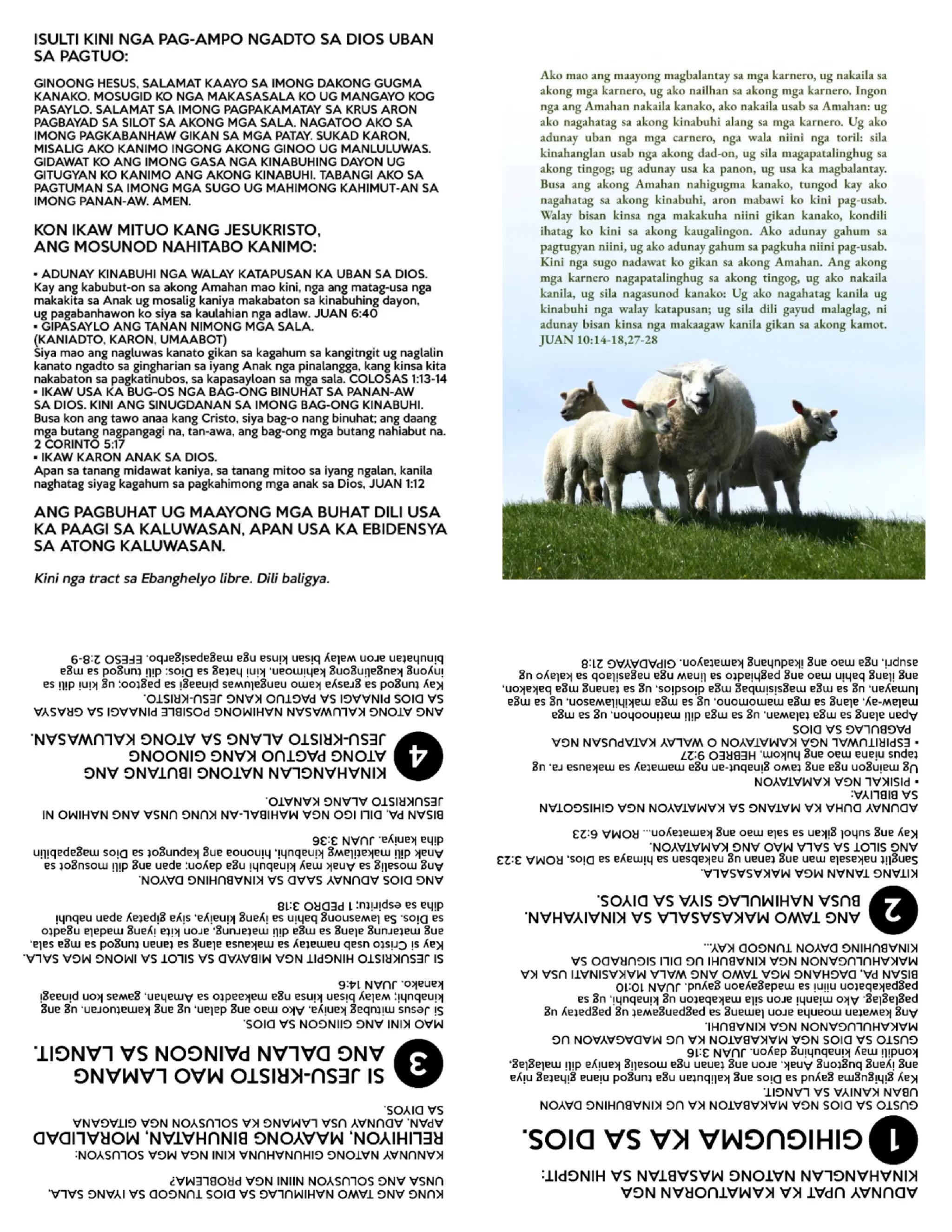Printable Cebuano Gospel Tract - Good Shepherd.pdf